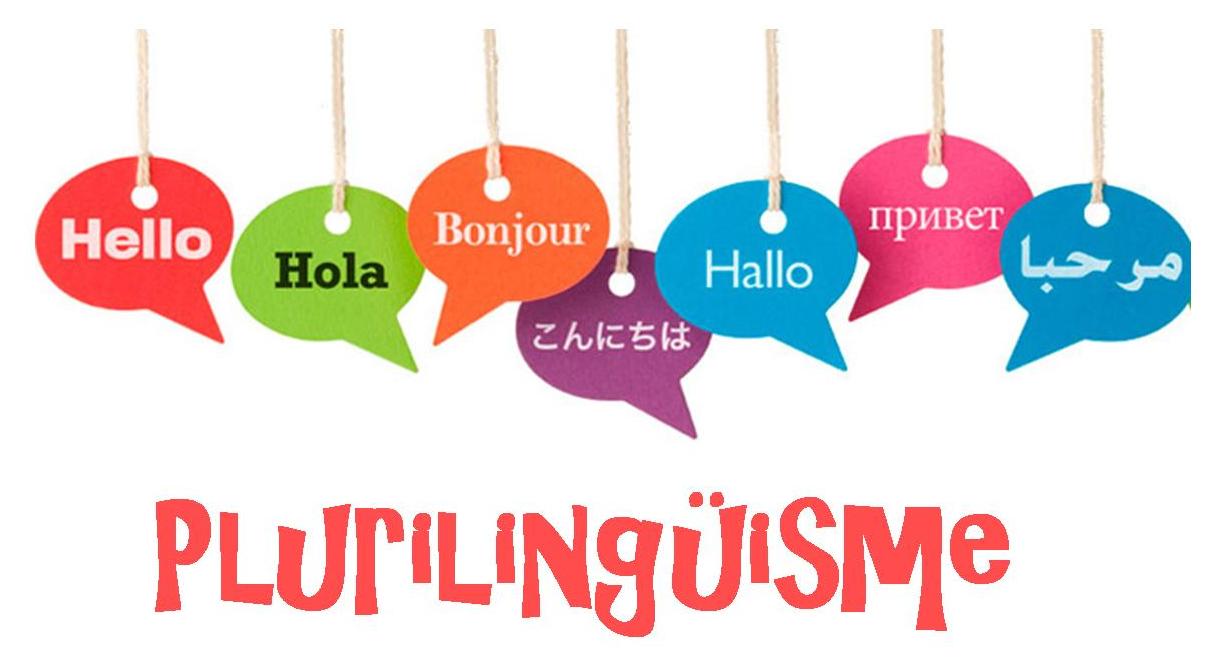 Plurilingüismo: las lenguas en el aula. ¡Fórmate! | FAMPA ValènciaFAMPA ...